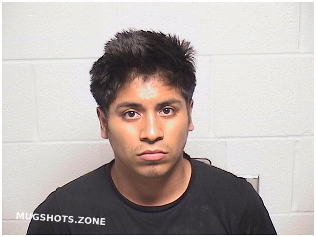 TINOCO JUSTIN GUSTAVO 07/12/2024 - Lake County Mugshots Zone