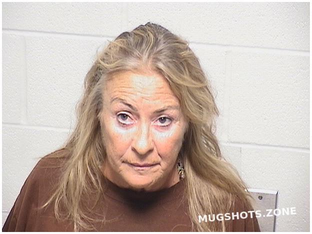 COOK ELAINE F 09/14/2024 - Lake County Mugshots Zone