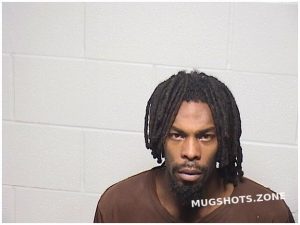 Lake County Mugshots Zone