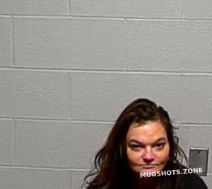 MCLEAN PAMELA L 11/18/2025 - Lake County Mugshots Zone