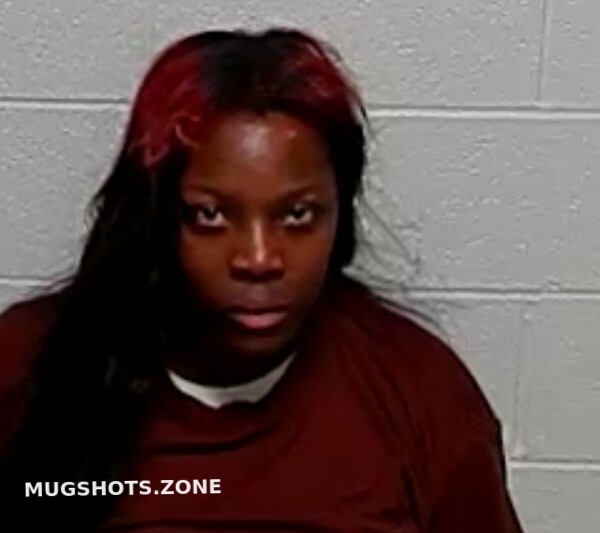 JENKINS KYLA T 12/30/2025 - Lake County Mugshots Zone