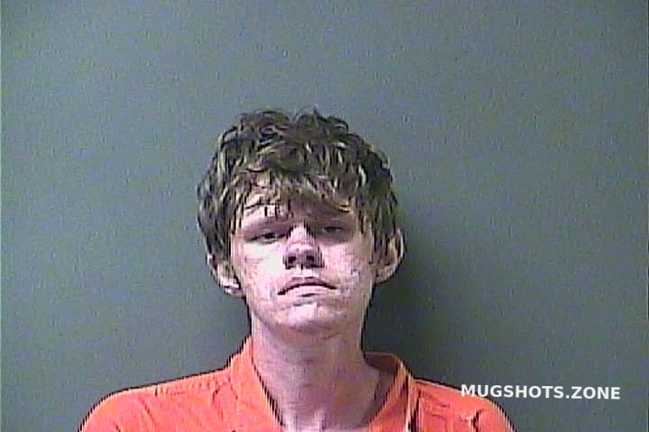 WYSE GREGORY DANIEL 06/11/2021 - Laporte County Mugshots Zone