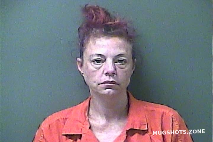 DAVIS SHANNAN KAY 07/17/2021 - Laporte County Mugshots Zone