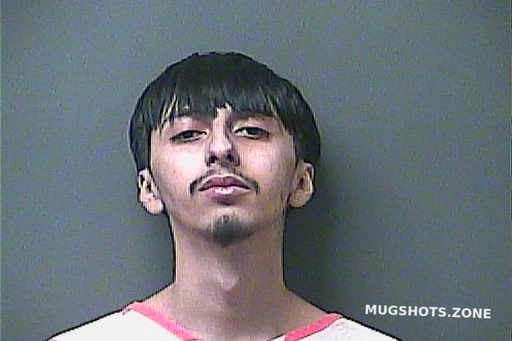 ALFARO ETHAN C 11/07/2022 - Laporte County Mugshots Zone