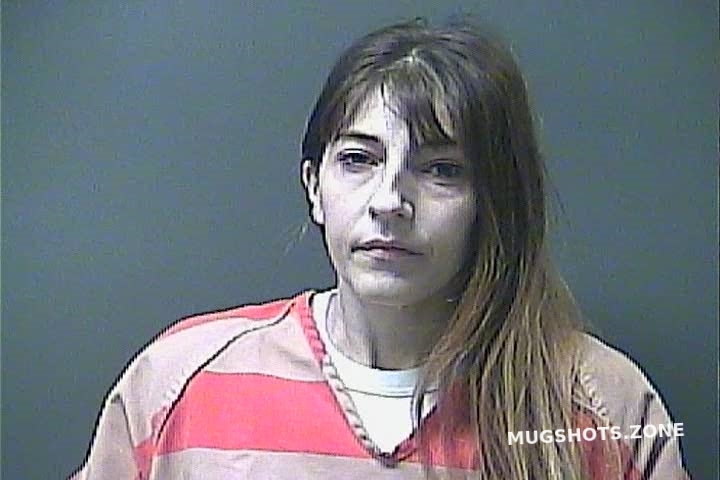 SCHMIDT CHARISSA L 01/08/2023 - Laporte County Mugshots Zone