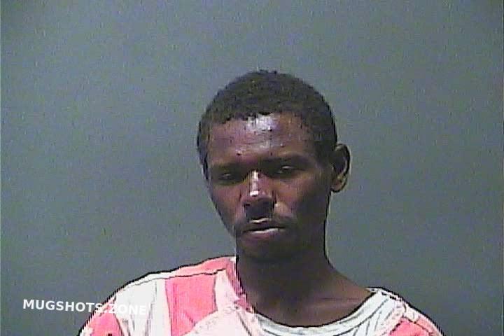 NEWSOME CORY J 08/02/2023 - Laporte County Mugshots Zone