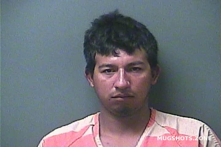 REYES MARIO ALEXI 10/01/2023 - Laporte County Mugshots Zone