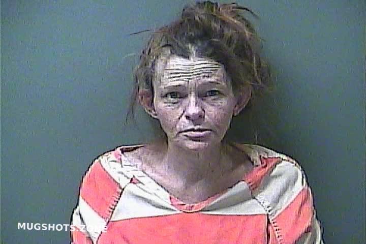 REESE BRENDA KATHELIN 11/10/2023 - Laporte County Mugshots Zone