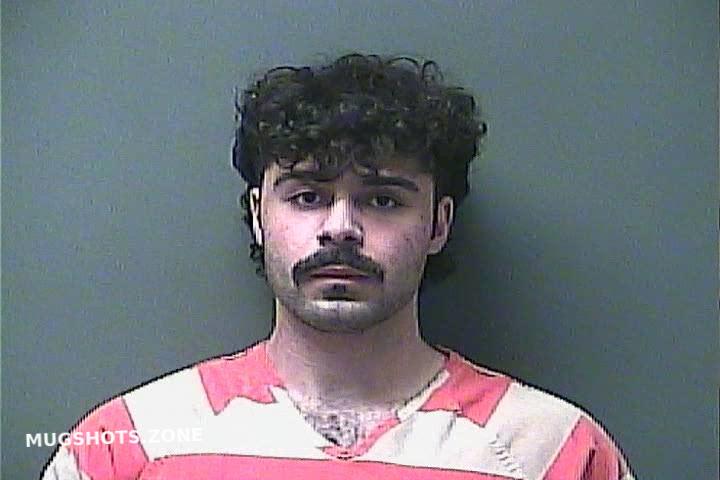 RABABAH ALI A 12/31/2023 - Laporte County Mugshots Zone