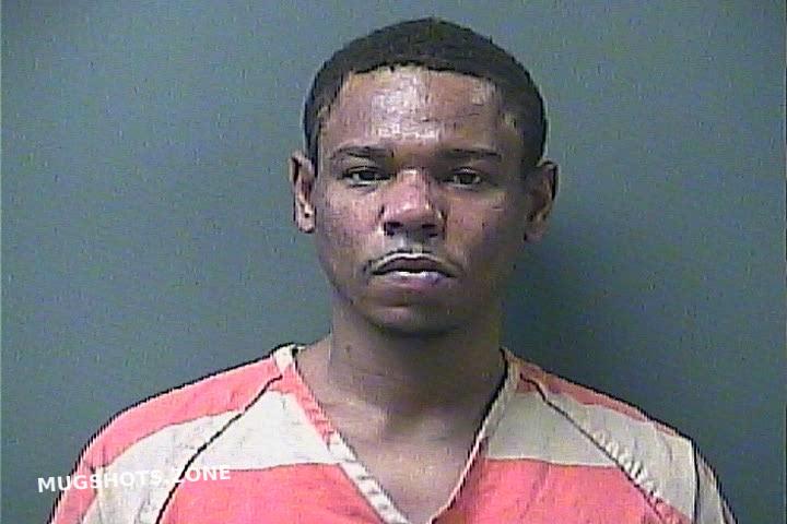 NEWSOME CORY J 04/11/2024 - Laporte County Mugshots Zone