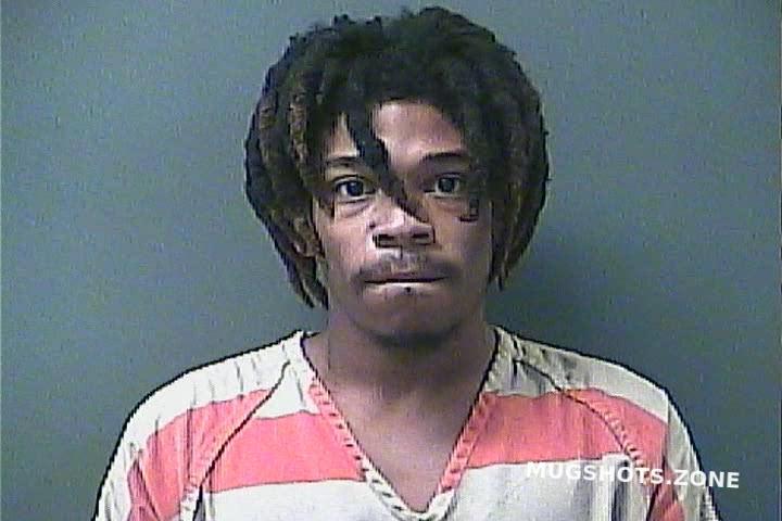 LOVE DEVIN DESHAWN 08/10/2024 - Laporte County Mugshots Zone