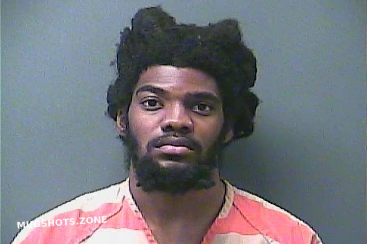 DAVIS DARRELL LANELL 09/18/2024 - Laporte County Mugshots Zone