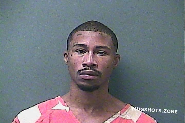 JOHNSON ARMONI C 09/23/2024 - Laporte County Mugshots Zone