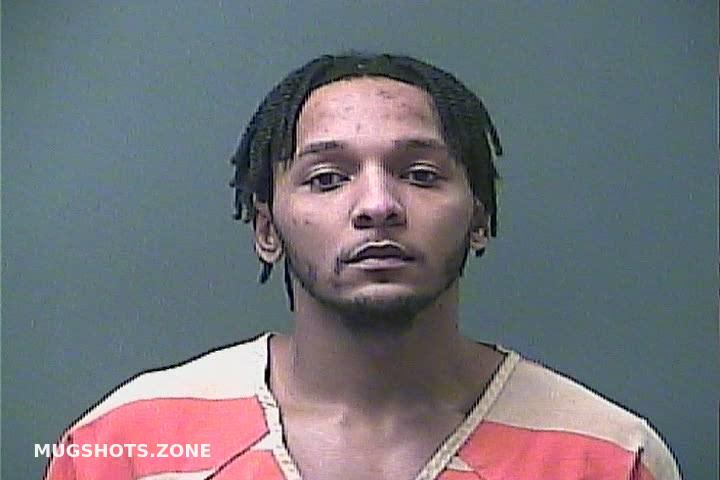 CHANEY ZIAHN MARIUS 02/05/2025 - Laporte County Mugshots Zone
