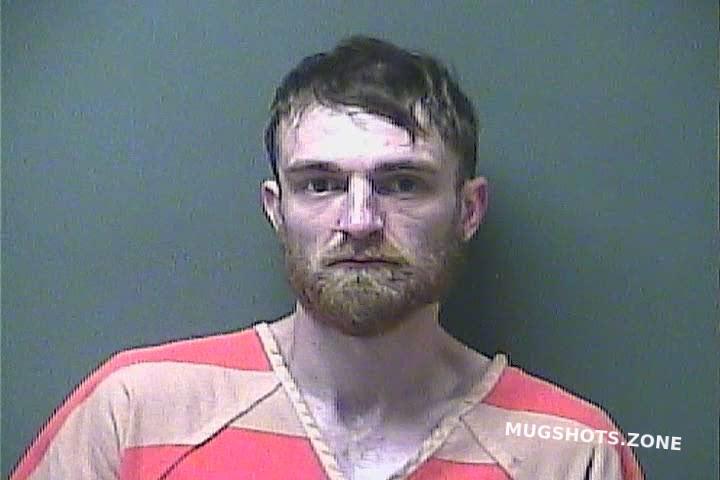 FIELDS JAMISON DONALD 03/05/2025 - Laporte County Mugshots Zone