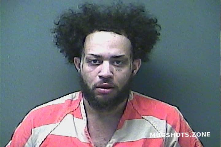 GEORGE ALIJAH D 03/30/2025 - Laporte County Mugshots Zone