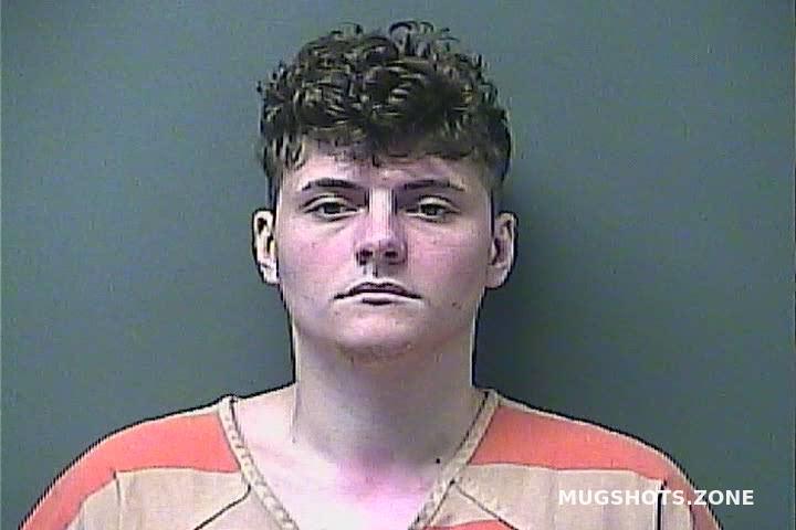 NORMAN CAMERON M 04/11/2025 - Laporte County Mugshots Zone