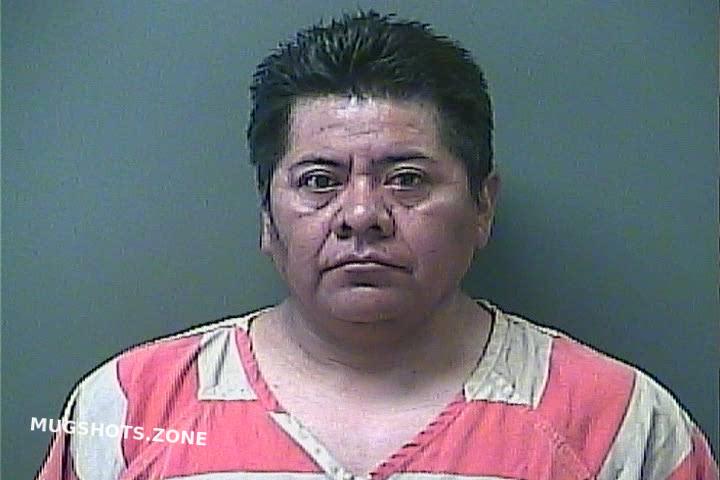 MALAGA BENITO M 06/08/2025 - Laporte County Mugshots Zone