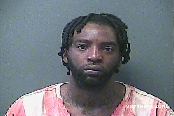 RAMEY DAISOR L 06/15/2025 - Laporte County Mugshots Zone