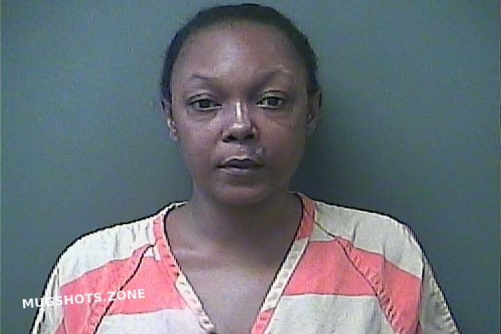 NEWSON MARIAM CHRISTA 07/03/2025 - Laporte County Mugshots Zone