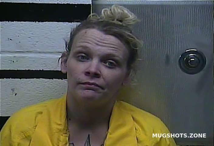 CHILDRESS RACHEL ANN 04/23/2022 - Larue County Mugshots Zone