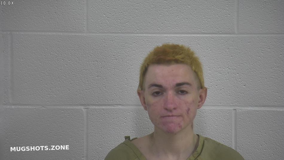 DIEHL SHIANN MARIE 06/15/2023 - Laurel County Mugshots Zone