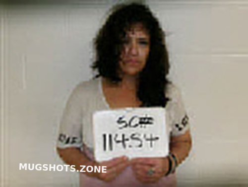 ARREDONDO DENISE ANN 02/24/2025 - Lavaca County Mugshots Zone