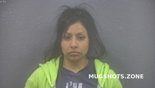 ERICA GONZALEZ 02/28/2024 - Lawrence County Mugshots Zone