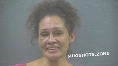 JAMIE STEPHENS 08/07/2024 - Lawrence County Mugshots Zone