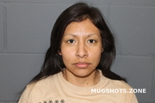 ERICA GONZALEZ 03/05/2025 - Lawrence County Mugshots Zone