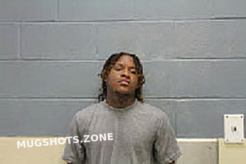 ANTERIO MAKEL WILLIAMS 06/30/2022 - Lee County Mugshots Zone