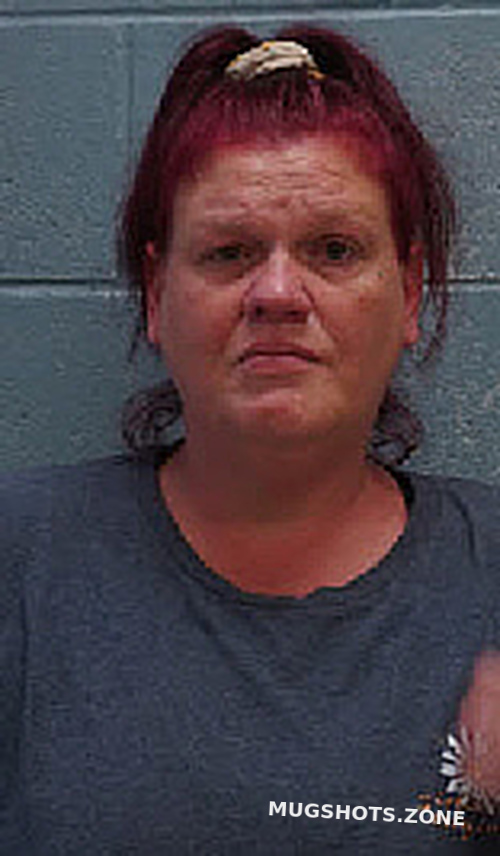 BRANDY ANN REYNOLDS 08/09/2022 - Lee County Mugshots Zone