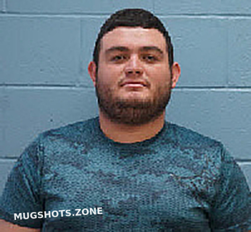 LUIS RUIZ PALOMARES 01/28/2023 - Lee County Mugshots Zone