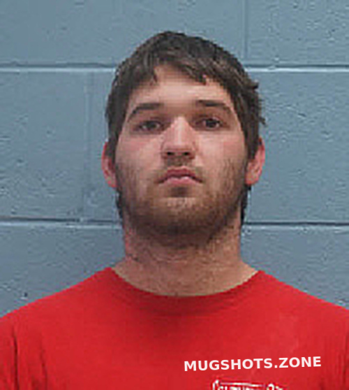 SAMUEL TYLER LEE ANDERSON 02/06/2023 - Lee County Mugshots Zone