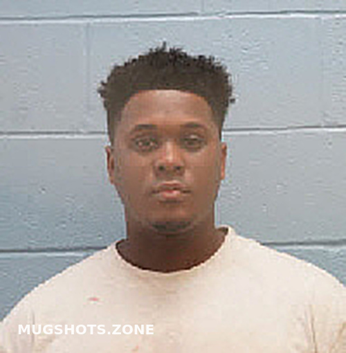 BRYSON DEVONTE JACKSON 03/05/2023 - Lee County Mugshots Zone