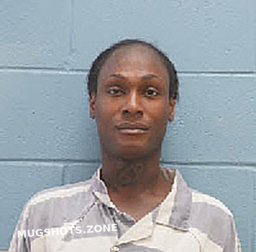 CHRISTOPHER E ELZEY 05/04/2023 - Lee County Mugshots Zone