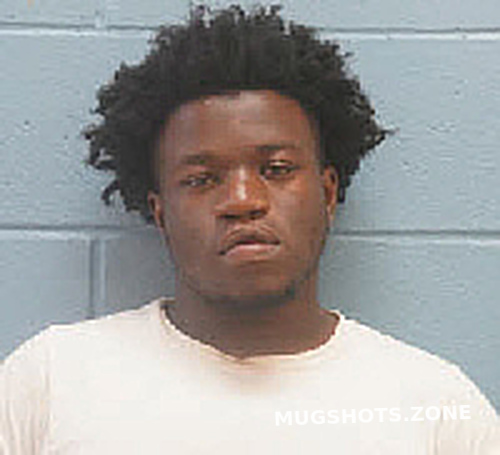 PARIS MONTEL BEASLEY 05/23/2023 - Lee County Mugshots Zone