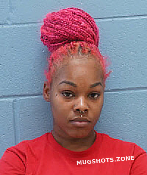 Sydney Lashun Robinson 06 08 2023 Lee County Mugshots Zone