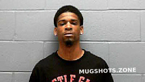 QUINTAVIOUS JERMAINE JOHNSON 07/04/2023 - Lee County Mugshots Zone