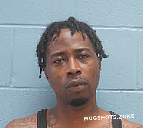 DESMOND ARTERRIO NELSON 07/05/2023 - Lee County Mugshots Zone