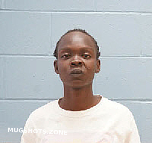 CHECHY MARY LUKA 08/01/2023 - Lee County Mugshots Zone