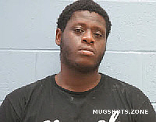 THADDEUS ONARIAN FIELDS 08/16/2023 - Lee County Mugshots Zone