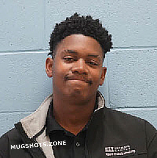 QUANDARIOUS DURAN MITCHELL 12/01/2023 - Lee County Mugshots Zone