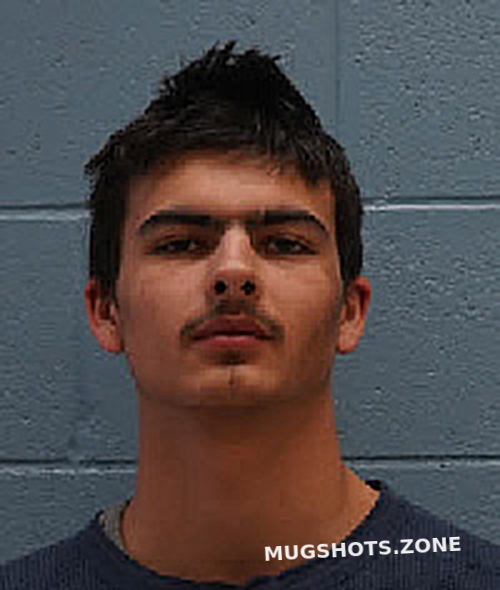 JACOB LANE DEWBERRY 01/01/2024 - Lee County Mugshots Zone