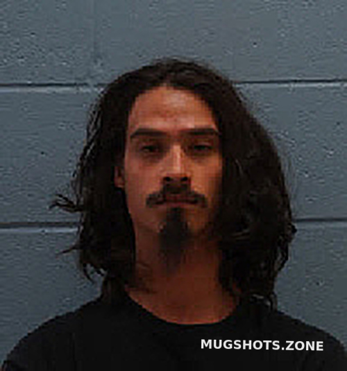 STEVEN KYLE CARWILE 01/03/2024 - Lee County Mugshots Zone