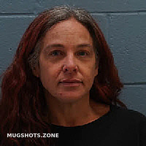 MICHELLE LYNN MCMICHAEL 01/17/2024 - Lee County Mugshots Zone