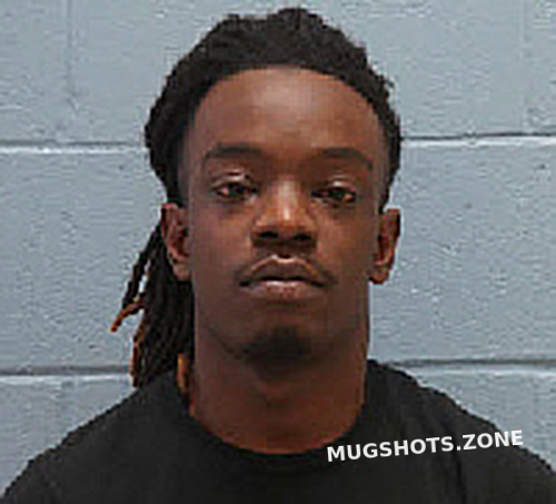 TY'DUES DEMETRIUS LIGON 02/01/2024 - Lee County Mugshots Zone