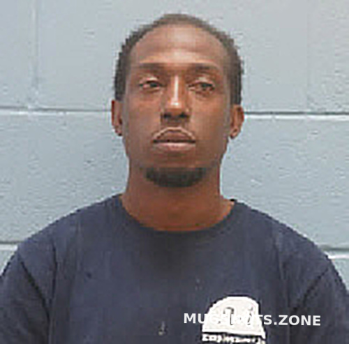RAPHEAL MIGUEL REESE 02/01/2024 - Lee County Mugshots Zone