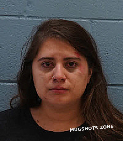 JENNIFER CELESTE ORONA 02/23/2024 - Lee County Mugshots Zone