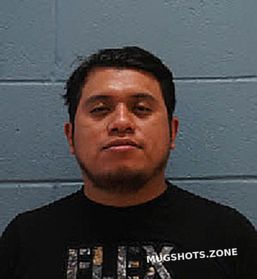 MARIO AUGUSTO RAMIREZ-PEREZ 03/10/2024 - Lee County Mugshots Zone